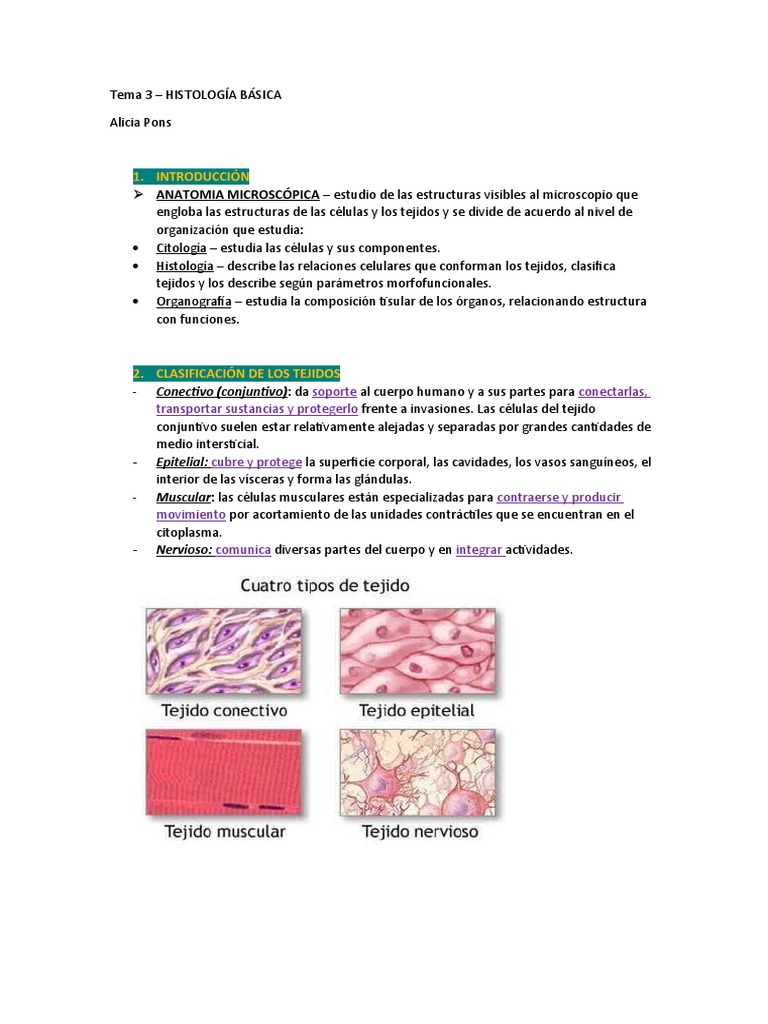 Histología Básica: Tejidos y Funciones | PDF | Epitelio | Tejido conectivo