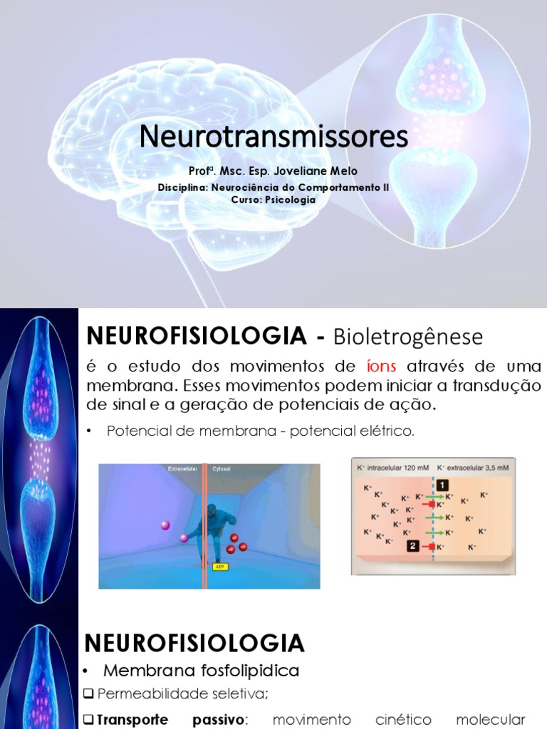 Aula 1 | Download grátis PDF | Neurotransmissor | Sinapse