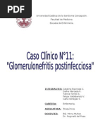 Check Up Básico Q45 en Chopo | PDF