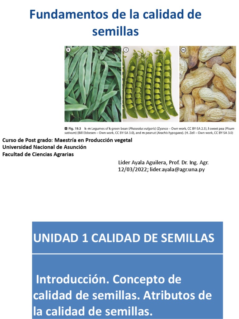 Calidad de Semillas | PDF