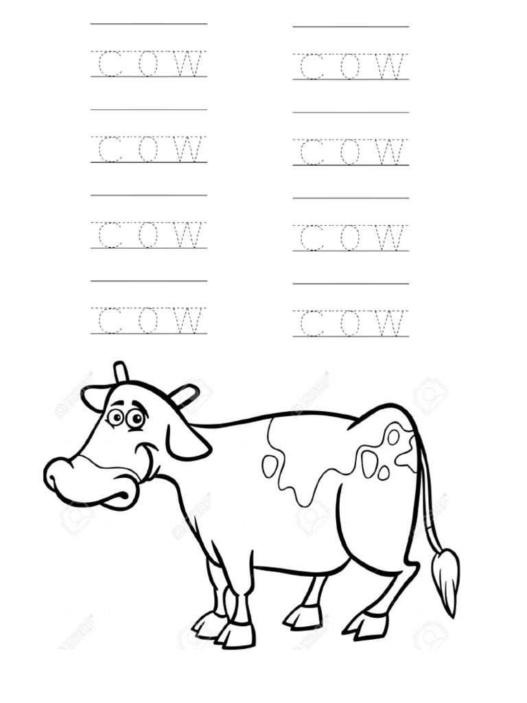Cow | PDF