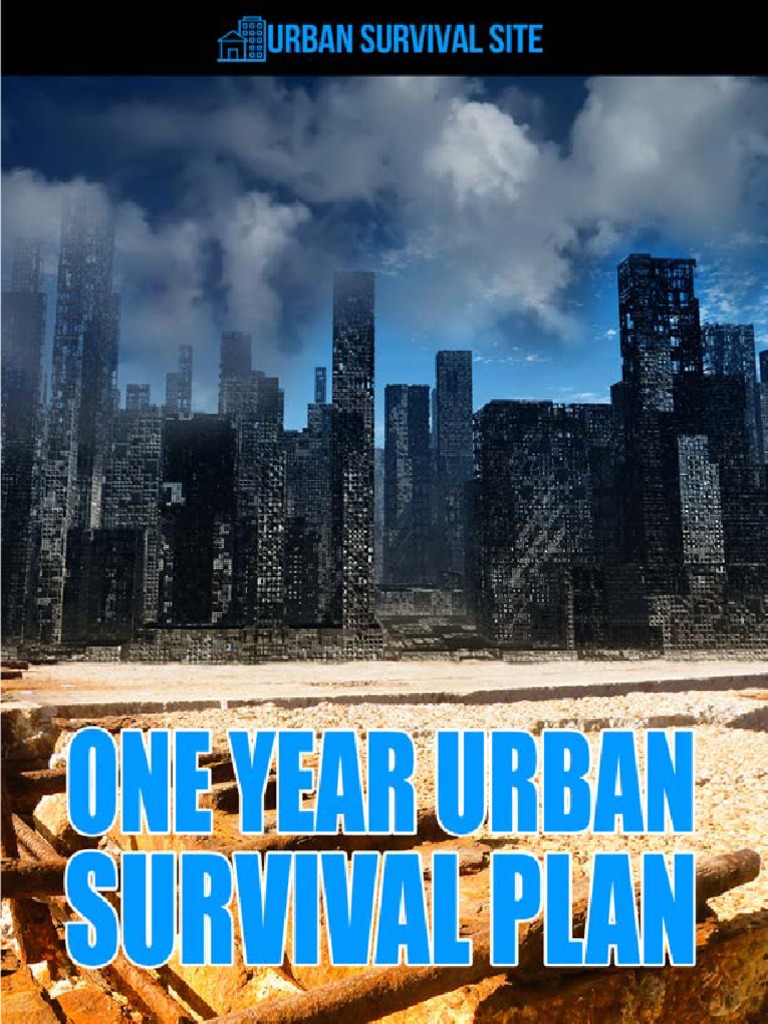 One Year Urban Survival Plan | PDF | Dough | First Aid