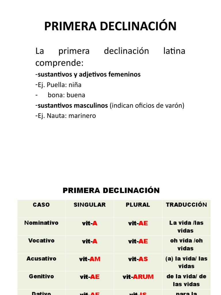 Primera Declinación | PDF