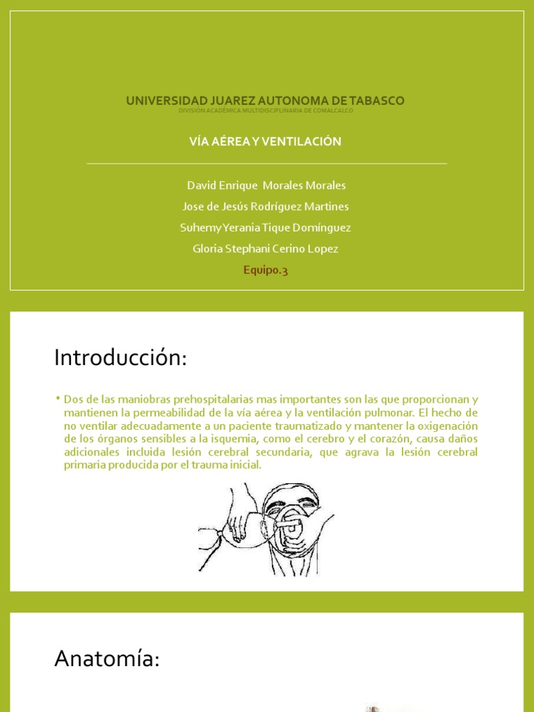 Manejo de La Via Aerea y Ventilacion 6n | PDF | Sistema respiratorio | Pulmón