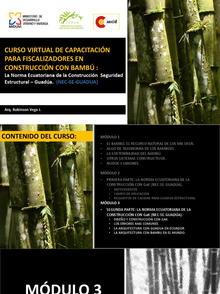 Capacitación en Construcción con Bambú | PDF | Tornillo | Madera