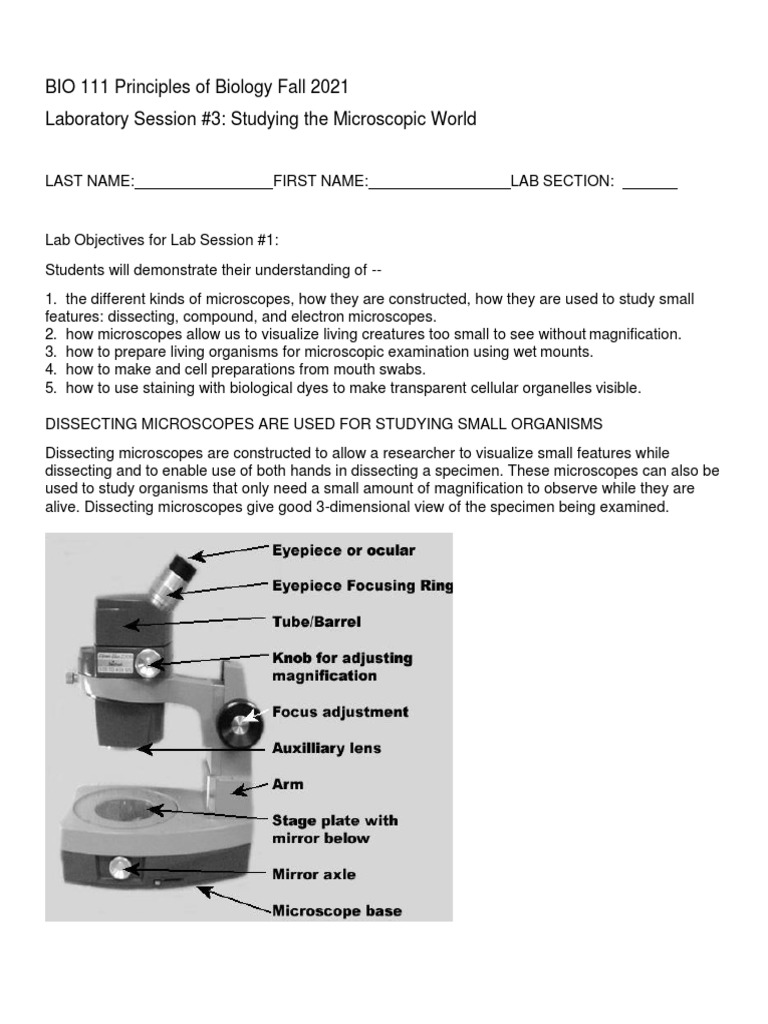 Microscopy Techniques in BIO 111 Lab | PDF | Microscope | Bacteria