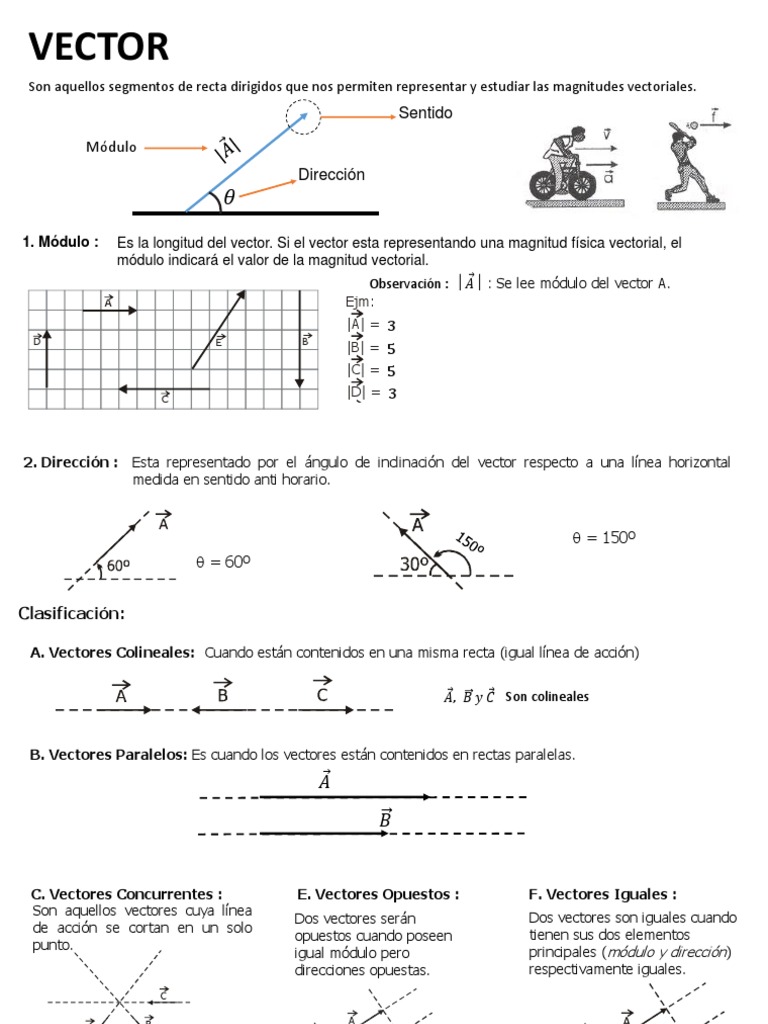 Conceptos básicos de vectores | PDF | Vector Euclidiano | Álgebra lineal