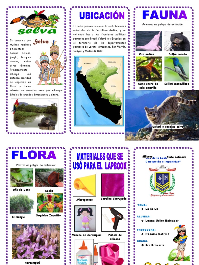 Triptico de La Selva de Animales y Plantas en Peligro de Extinsion | PDF | Organismos | Biogeografia