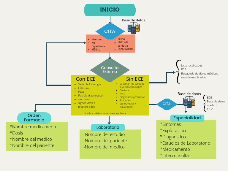 Flujo de Datos en Consultas Médicas | PDF | Diagnostico medico ...