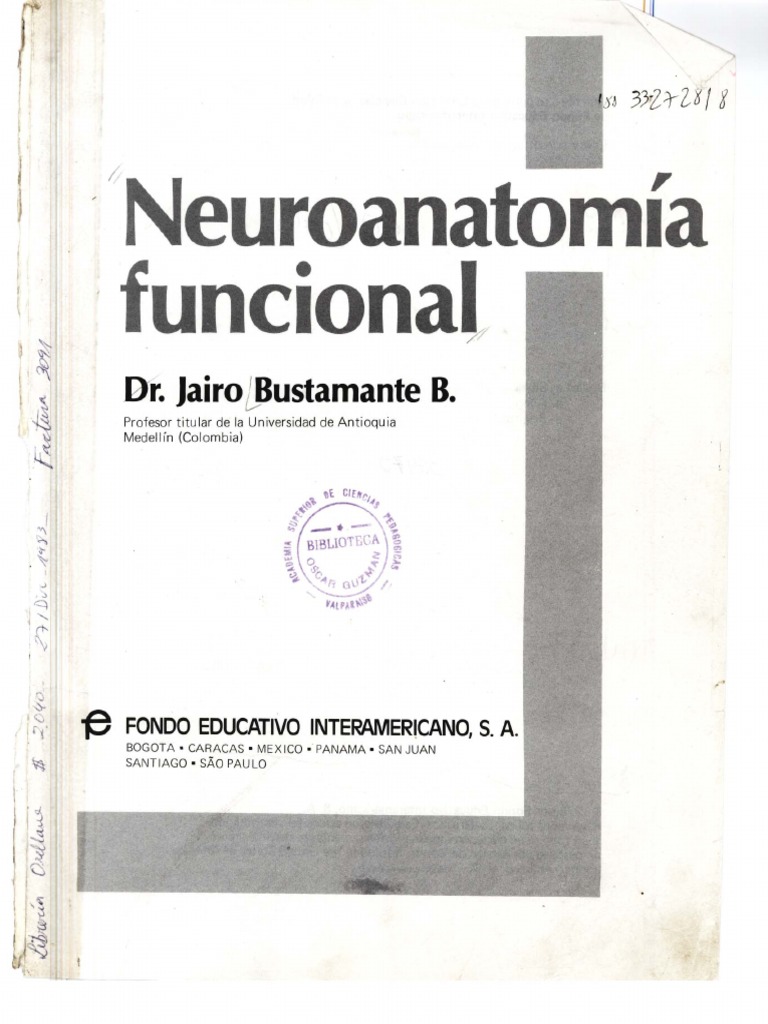 Jairo Bustamante - Neuroanatomía Funcional | PDF