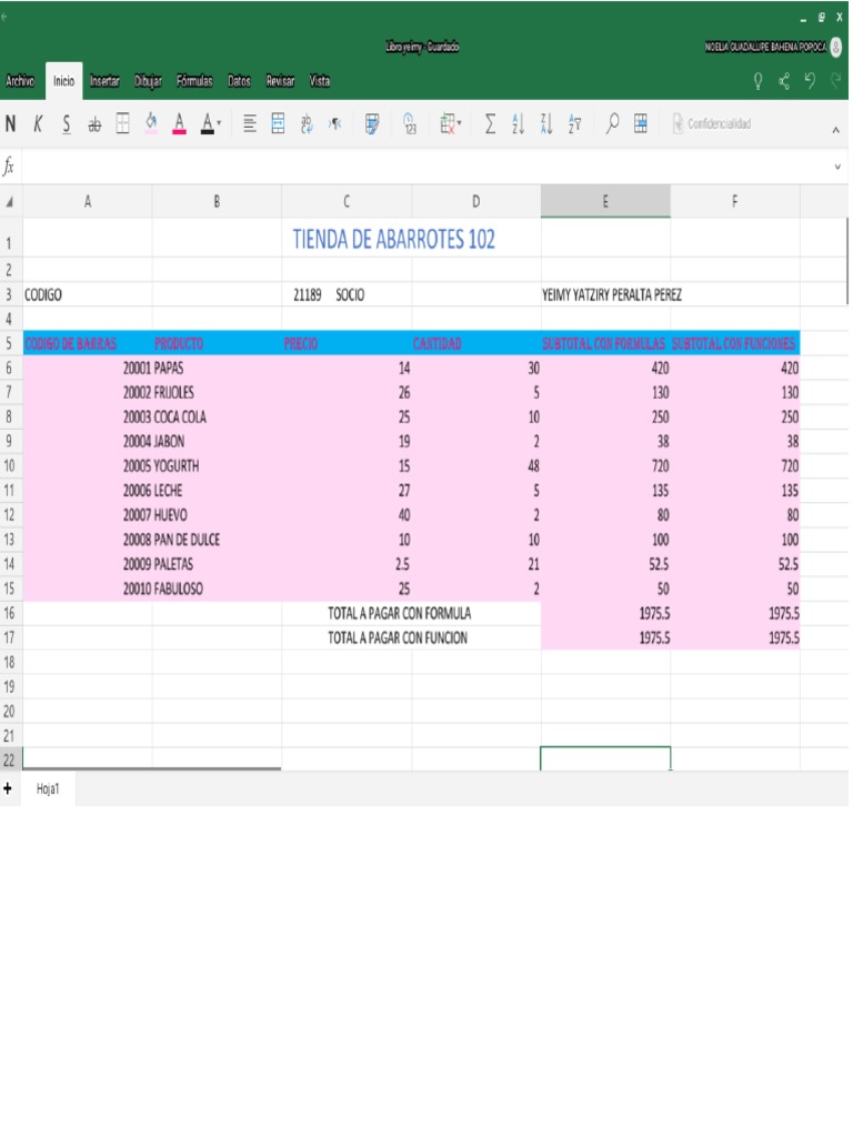 Práctica Excel | PDF