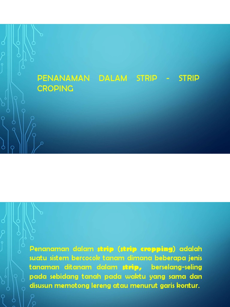 P10 Stripcropping | PDF