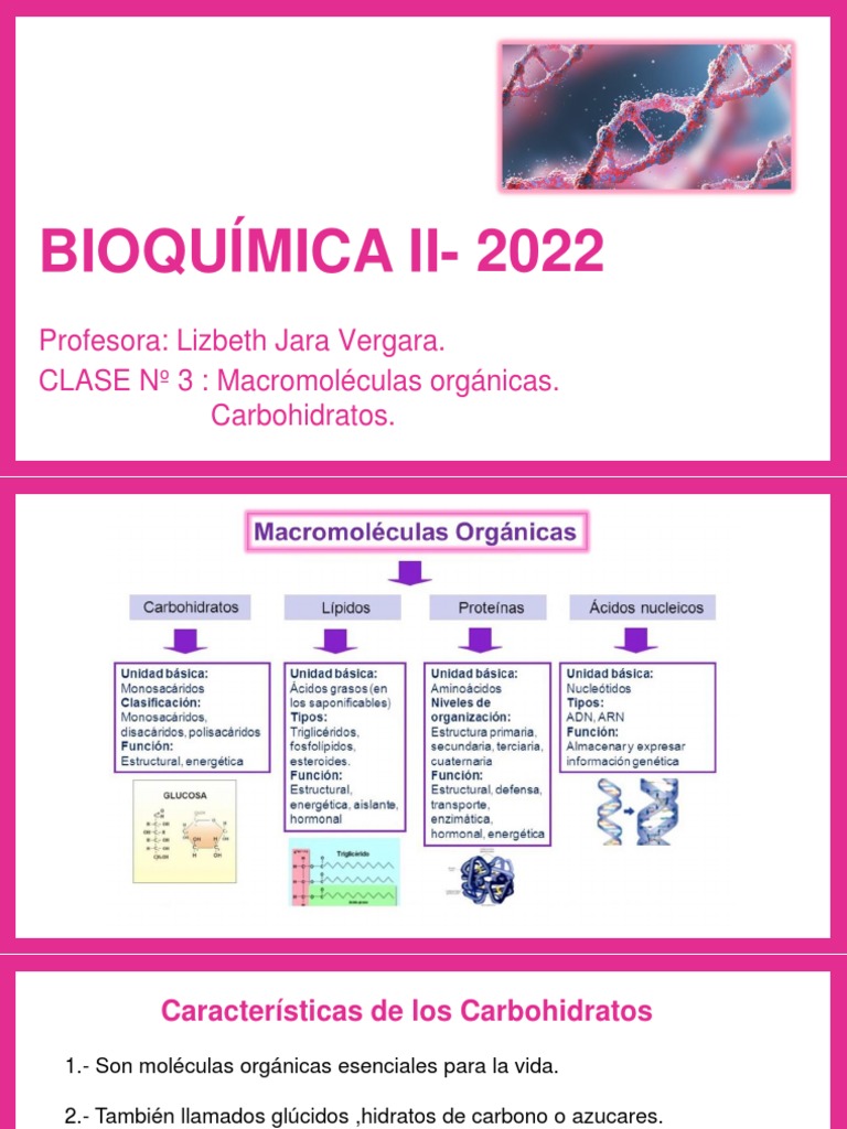 CLASE 3 - BIOQCA II-2022 L.Jara | PDF | Carbohidratos | Polisacárido