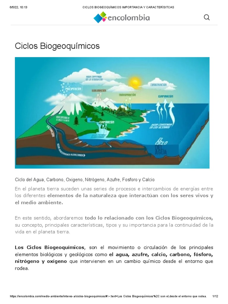 Ciclos Biogeoquímicos Importancia y Caracterísitcas | PDF | Tierra | Agua