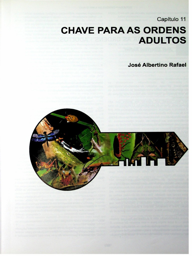 Insetos Do Brasil - Chave para As Ordens Adultos, pp.191-196 | PDF