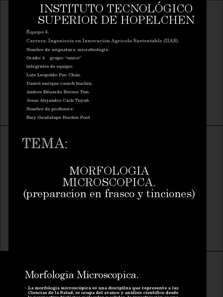 Morfologia Microscopica | PDF | Tinción | Las bacterias