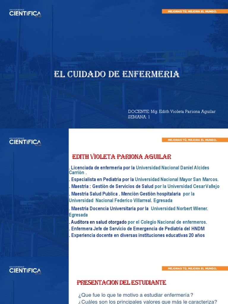 El Cuidado de Enfermeria - Sem - 01 - Sesion 01 - 2022-2 | PDF | Enfermería | Evaluación