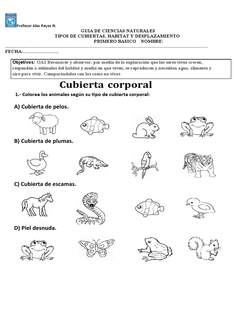 Guia de Cubierta de Los Animales | PDF | Piel