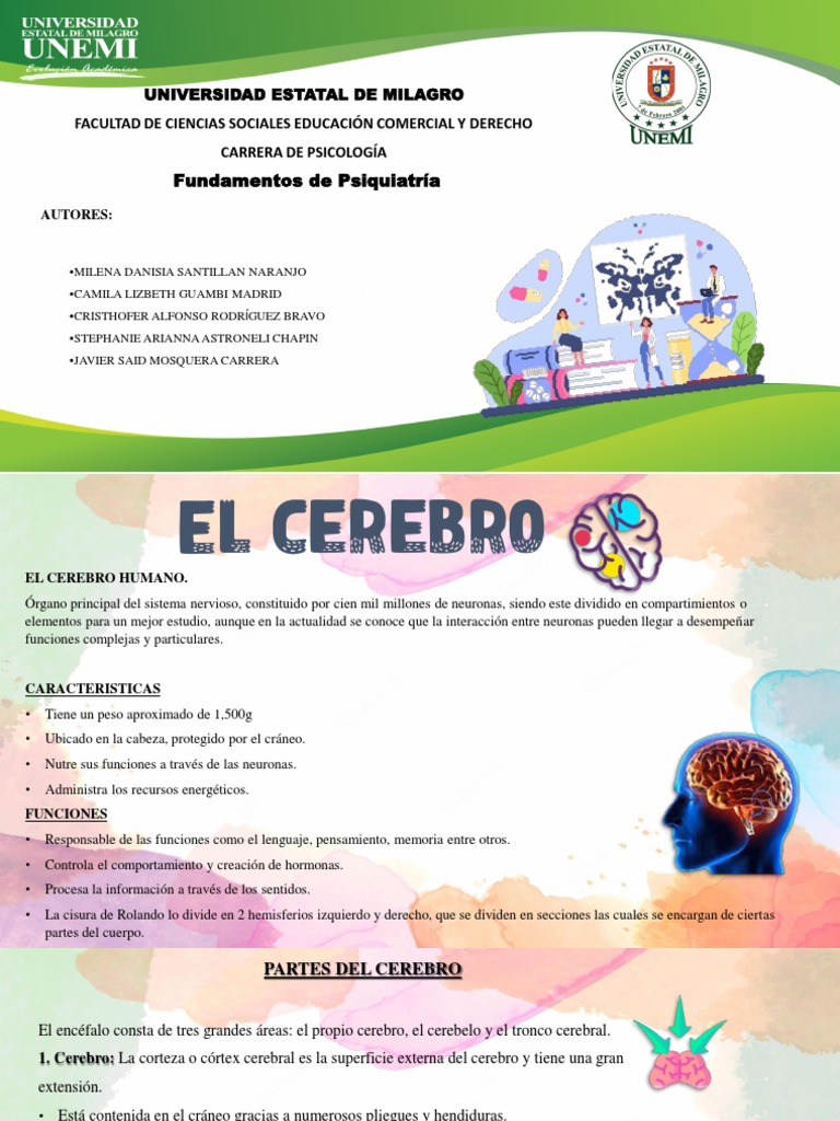 El Cerebro Exposición | PDF | Cerebro | Sistema nervioso central