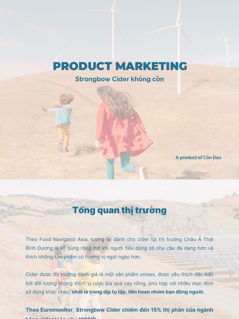 Phát triển sản phẩm Strongbow Cider | PDF