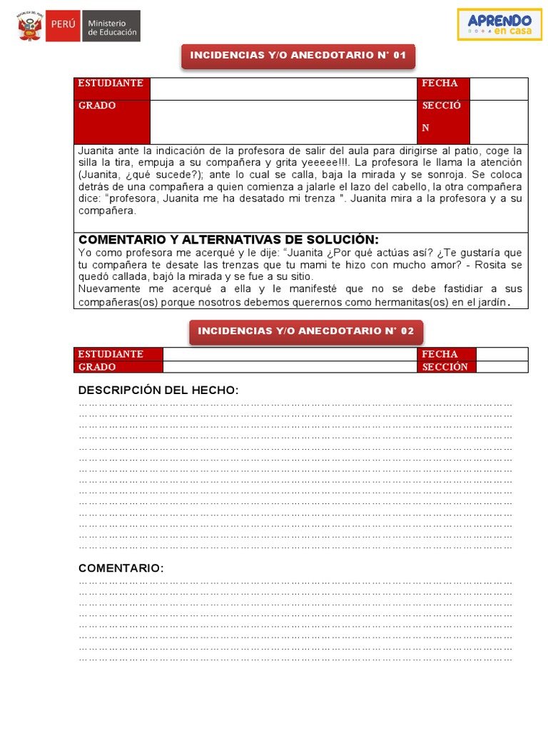 Modelo de Anecdotario (Primaria) | PDF