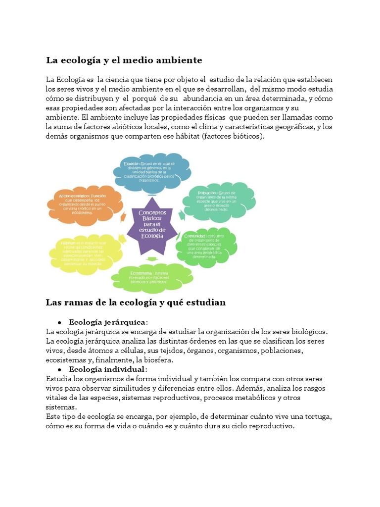 Ecología y medio ambiente: diferencias clave | PDF | Ecología | Ecosistema