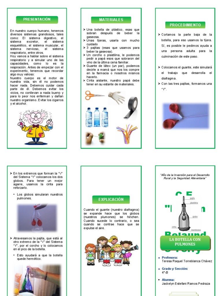 Triptico La Botella Con Pulmones | PDF | Anatomía