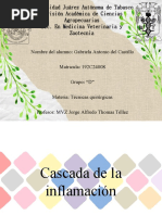 AZOADOS | PDF | Ciencia y matemáticas