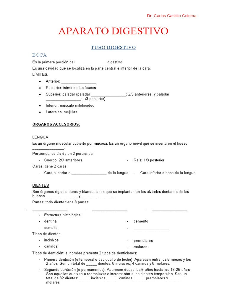 Tarea Virtual de Aparato Digestivo | Descargar gratis PDF | Diente ...