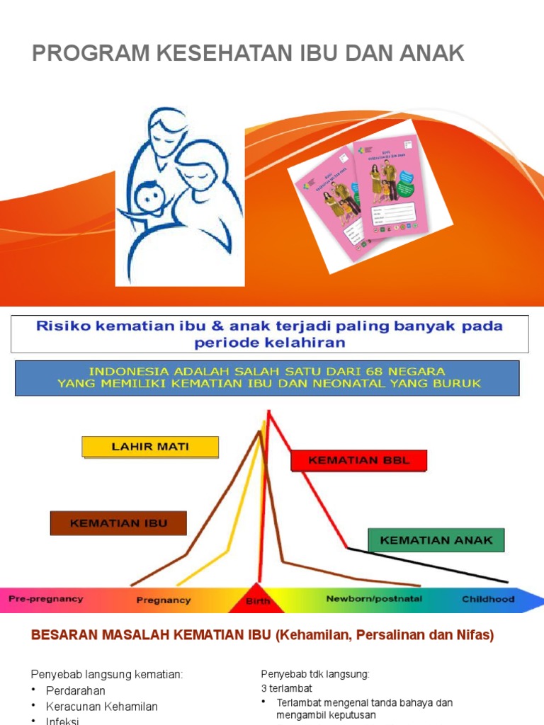 Program Kesehatan Ibu Dan Anak | PDF