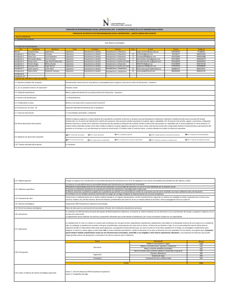 Concurso RRSS - Ficha 8 - Cajamarca (Ejemplo) | PDF | Economias
