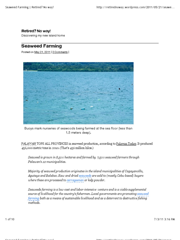 Snapshot - Seaweed Farming in The Philippines | PDF | Seaweed | Food ...
