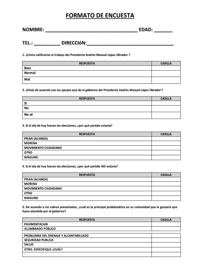 Formato de Encuenta 1 Hoja | PDF