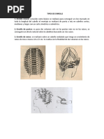 Corte de Cabello A 90 Grados Paso A Paso | PDF | Pelo
