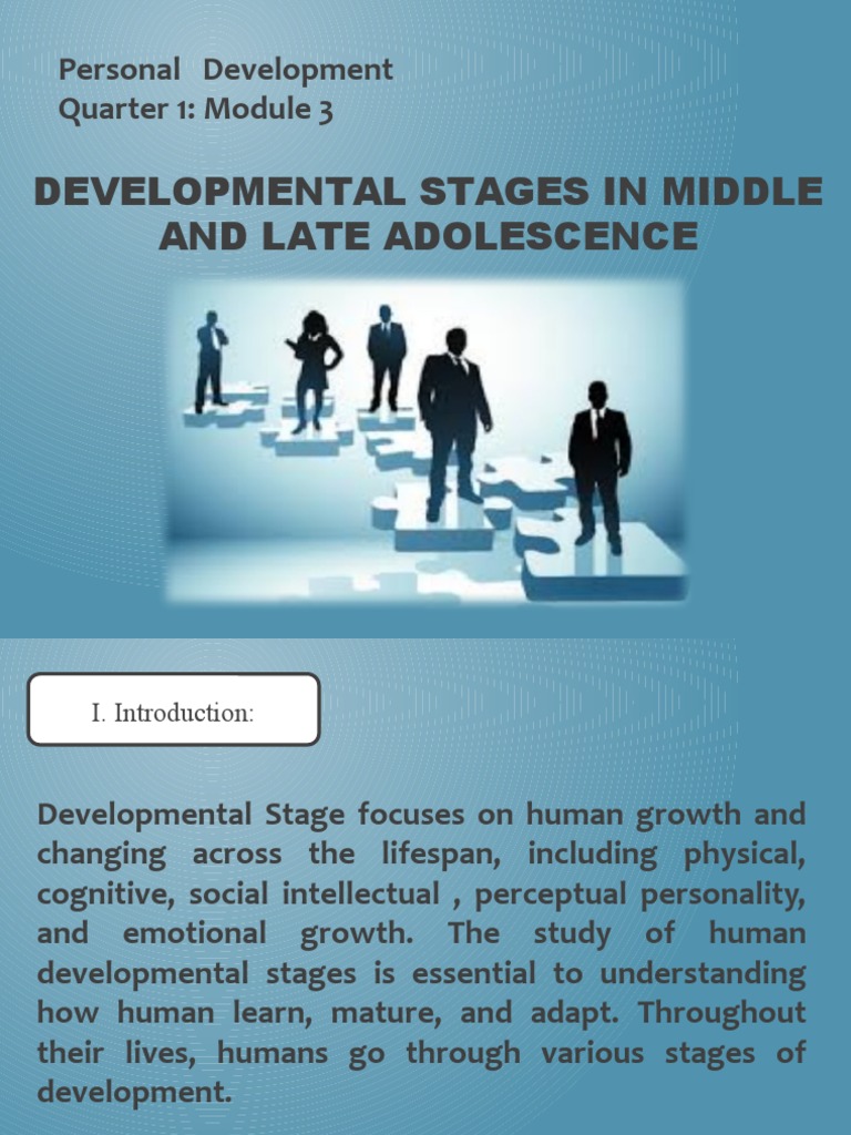 Managing Adolescent Developmental Challenges | PDF