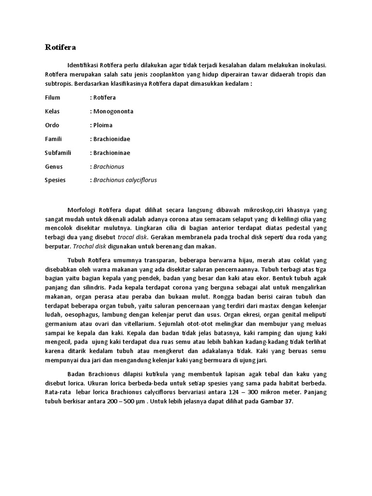 Rotifera | PDF