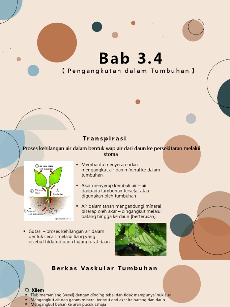 Sains Nota t3 3.4 | PDF