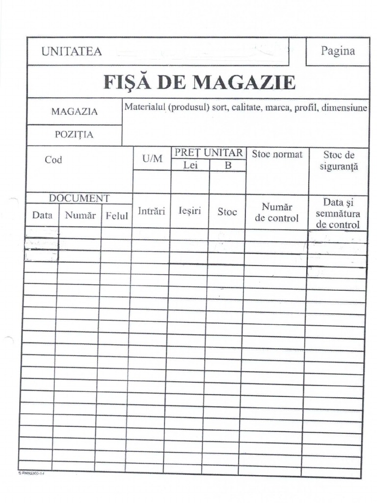 Fisa magazie | PDF