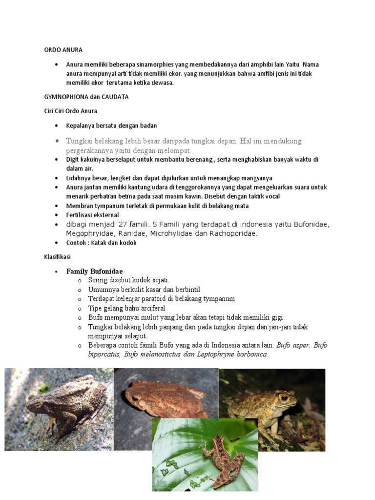 Ordo Anura | PDF | Sains & Matematika
