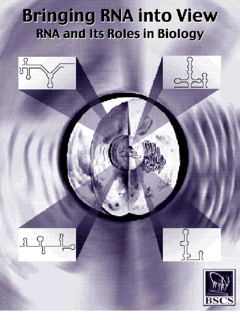 Bringing RNA Into View - RNA and Its Roles in Biology | PDF | Rna | Intron