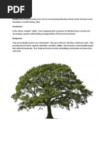 Fall Nature Walk Worksheet | PDF | Organisms | Nature