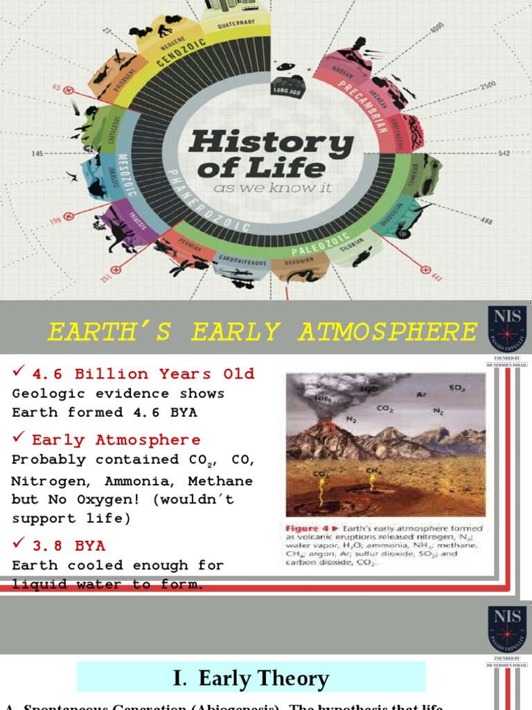 1247615 (1) | PDF | Organisms | Evolution