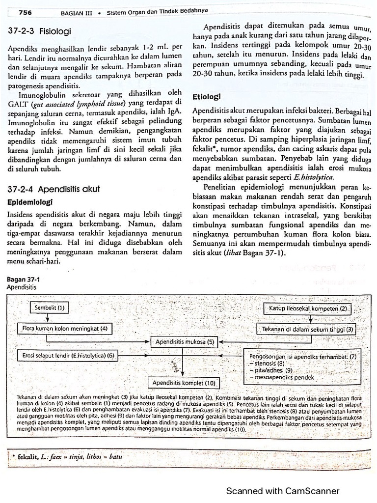 Dejong Appendicitis | PDF