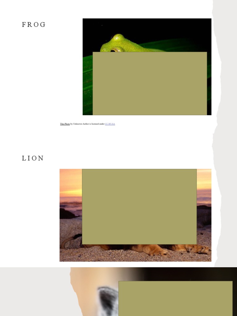 Ice Breaker Guess The Animal | PDF