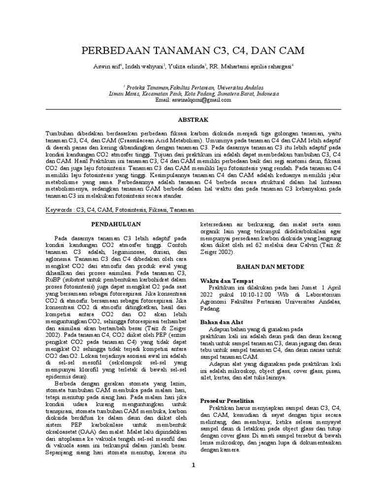 DEWI RAHAYU FISTUM C3, C4, CAM YANG BENAR (Repaired) | PDF