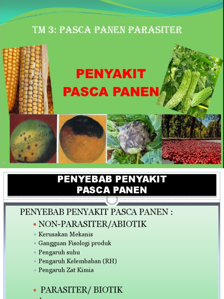 Pasca Panen Parasiter | PDF