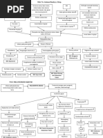 Patofisiologi Pathway Isk | PDF