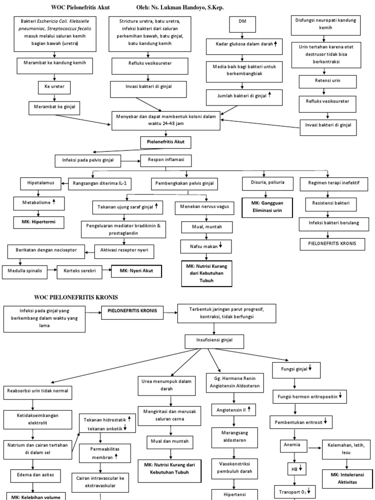 Woc Isk Pielonefritis | PDF