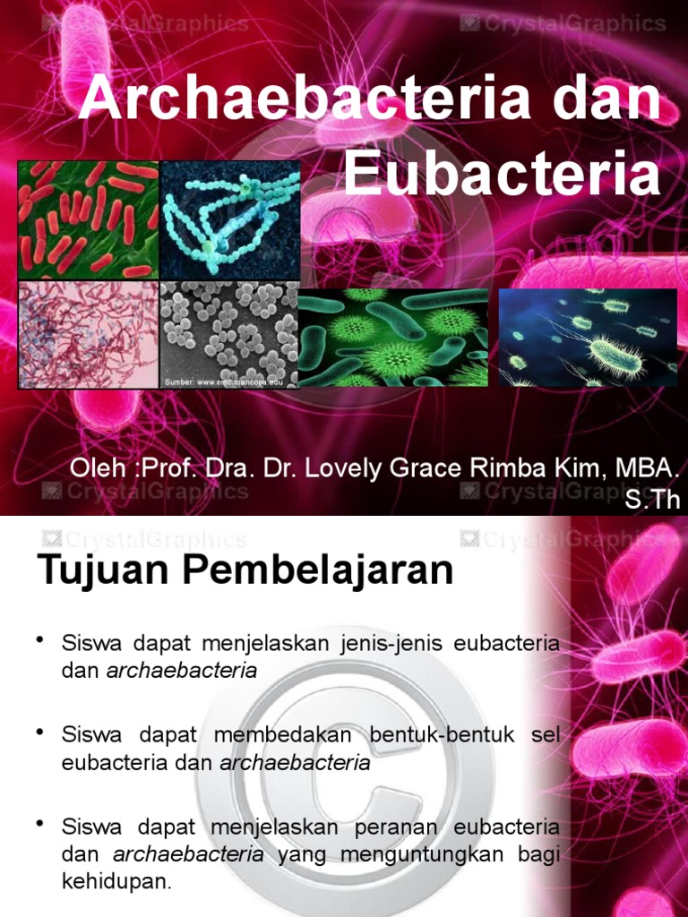 Archaebacteria Dan Eubacteria New2 | PDF