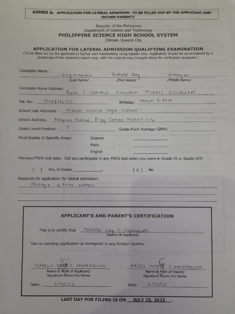 Pisay Application Form 1 | PDF